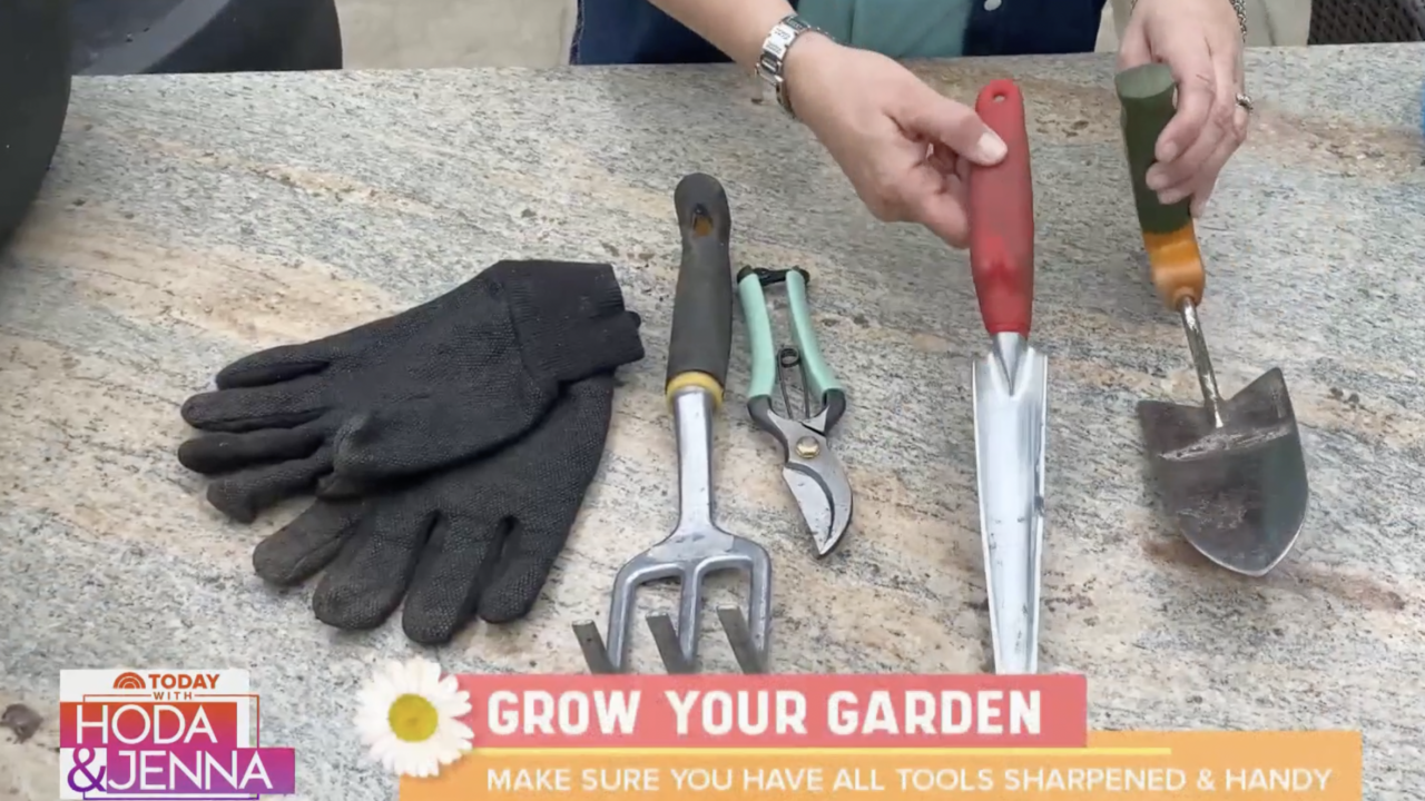 Gardening Tips: How to Best Care For Your Plants and Flowers