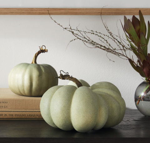 Finds for Fall: 50 Autumn Finds for Your Home